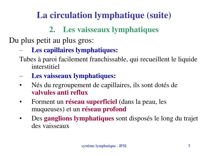 PPT - Système lymphatique PowerPoint Presentation - ID:2953857