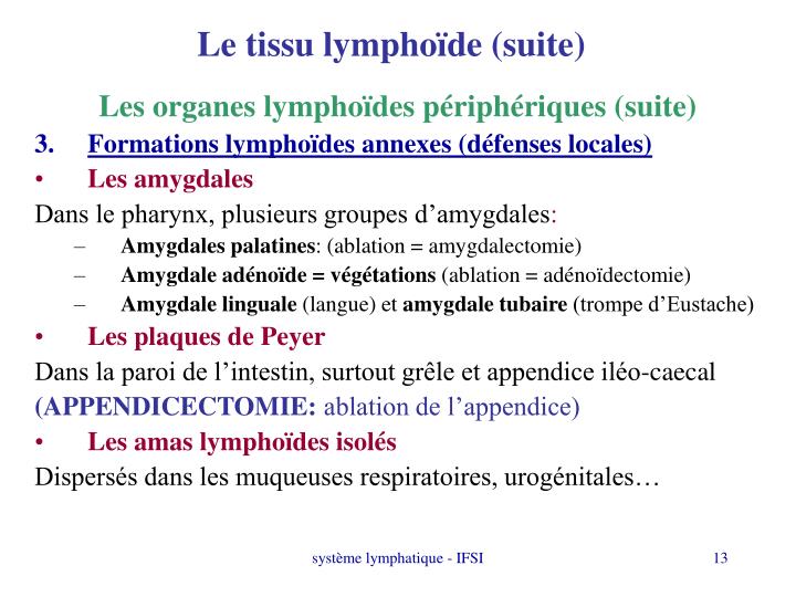 PPT - Système lymphatique PowerPoint Presentation - ID:2953857