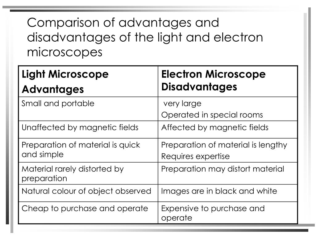 Advantages And Disadvantages Of A Stereo Microscope at Brenda Gilland blog Advantages And Disadvantages Of A Stereo Microscope at Brenda Gilland blog
