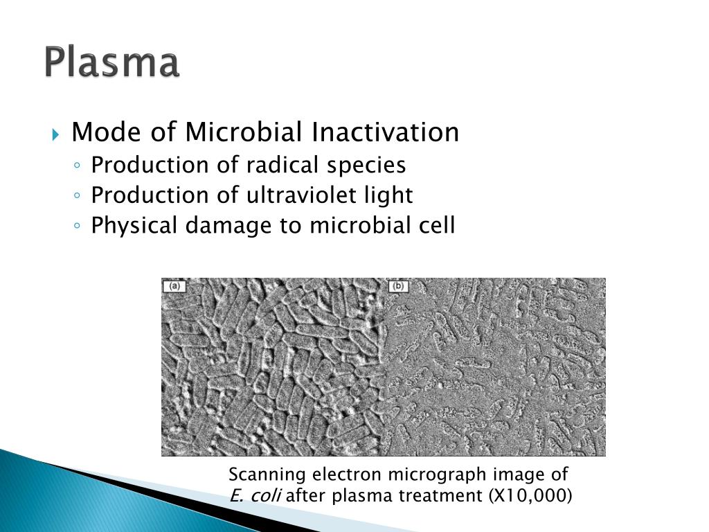 PPT - A Novel Plasma Treatment System for Disinfection of ...