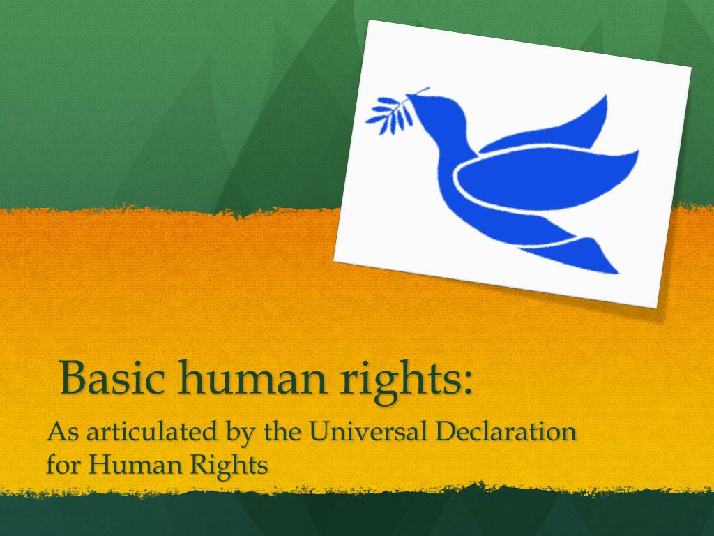 PPT - International Achievements in Women’s Human Rights PowerPoint ...
