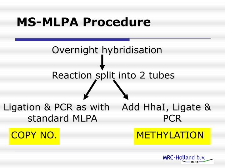 PPT - MS-MLPA Methylation Specific Multiplex Ligation Probe ...