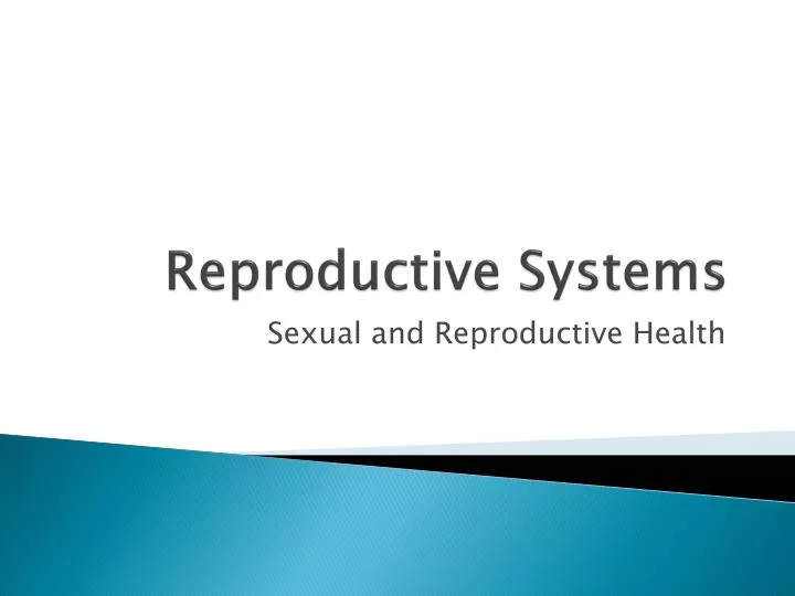 PPT - Reproductive Systems PowerPoint Presentation, free download - ID ...