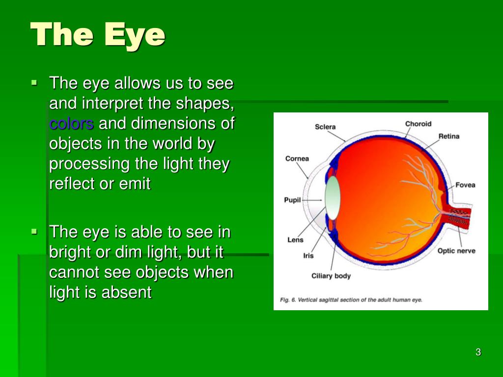 PPT - Objectives PowerPoint Presentation, free download - ID:2956243