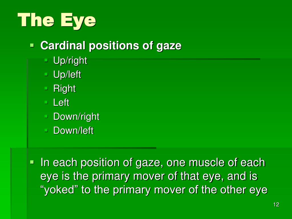 PPT - Objectives PowerPoint Presentation, free download - ID:2956243