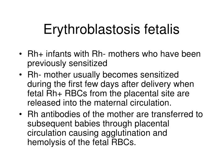 PPT - Pediatric Hematology PowerPoint Presentation - ID:2957343