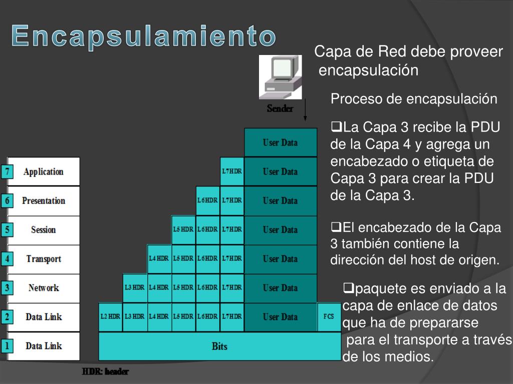 PPT - Capa de redes La vida en un mundo centrado en la red PowerPoint ...