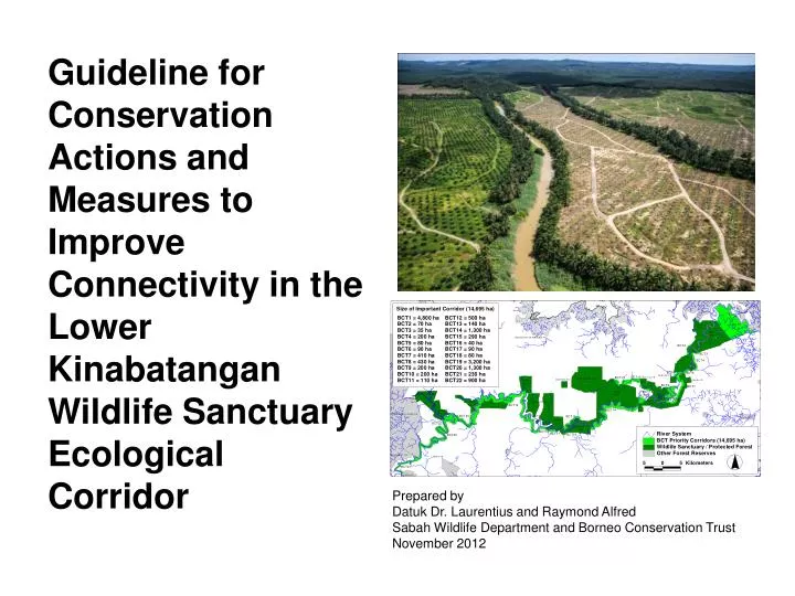 PPT - Guideline for Conservation Actions and Measures to PowerPoint ...