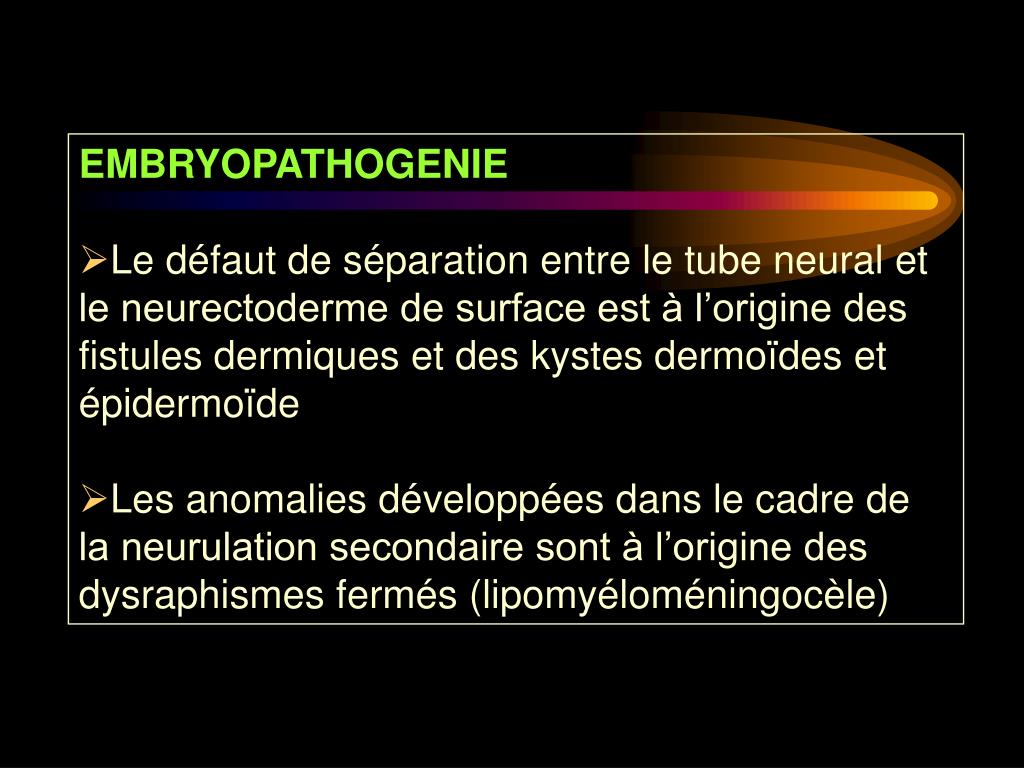 PPT - SIGNES D’APPELS ECHOGRAPHIQUES DANS LE DIAGNOSTIC ANTENATAL DE ...