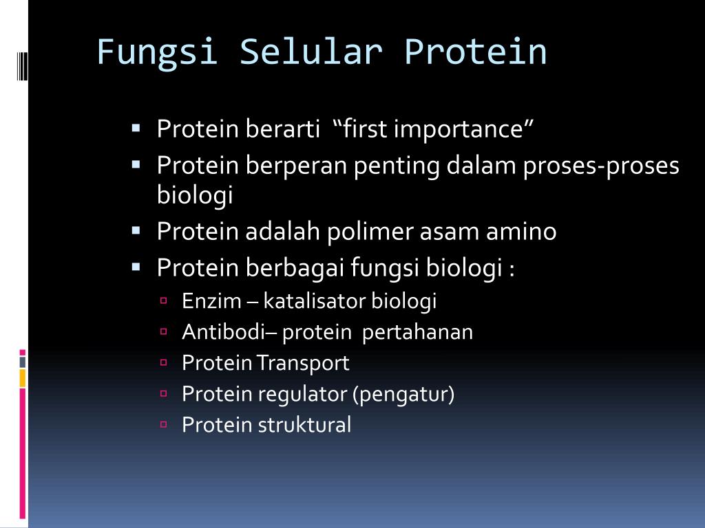 PPT - METABOLISME PROTEIN DAN ASAM AMINO PowerPoint Presentation, free ...
