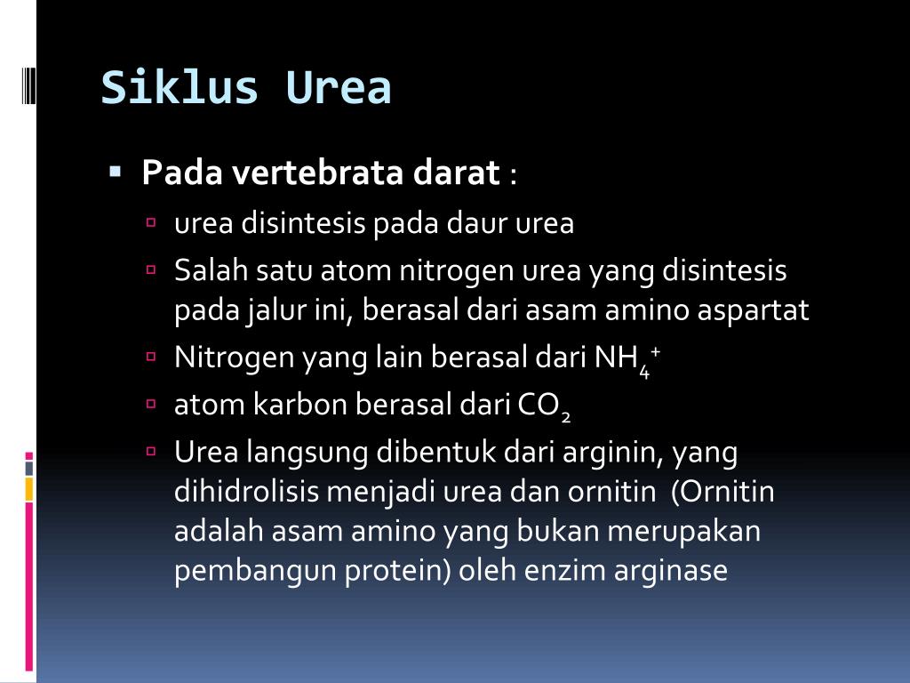 PPT - METABOLISME PROTEIN DAN ASAM AMINO PowerPoint Presentation, free ...