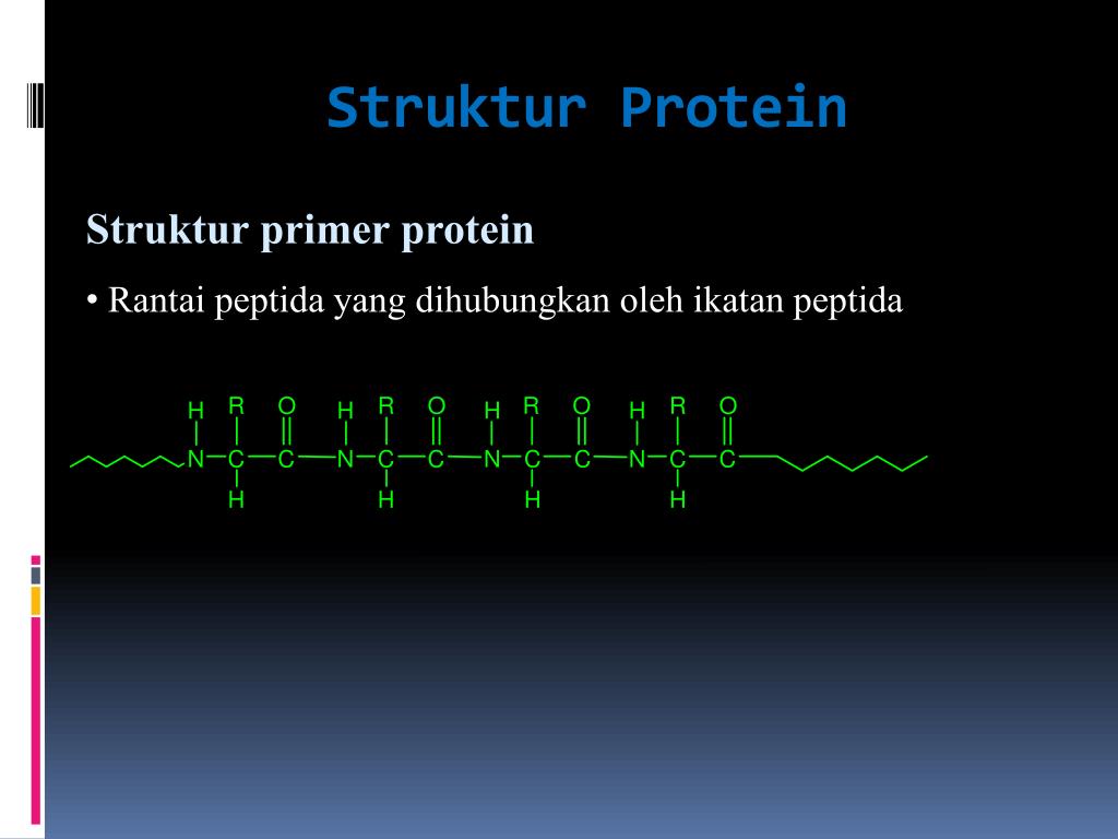 PPT - METABOLISME PROTEIN DAN ASAM AMINO PowerPoint Presentation, free ...