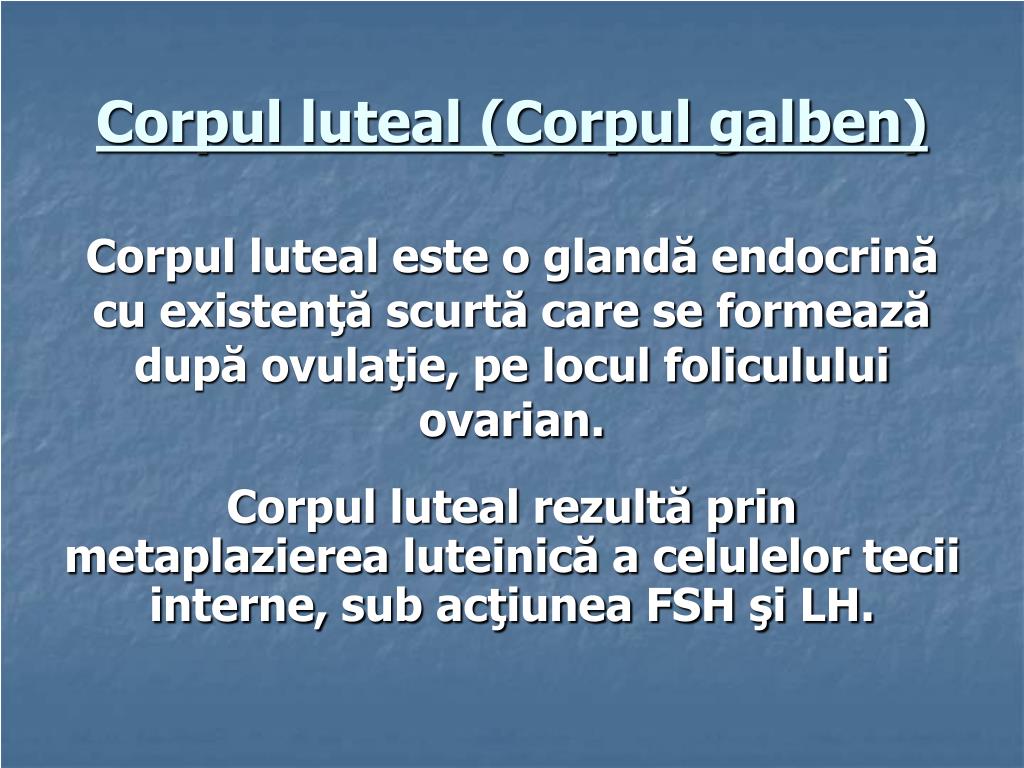 PPT - Morfologia aparatului genital femel PowerPoint Presentation, free ...