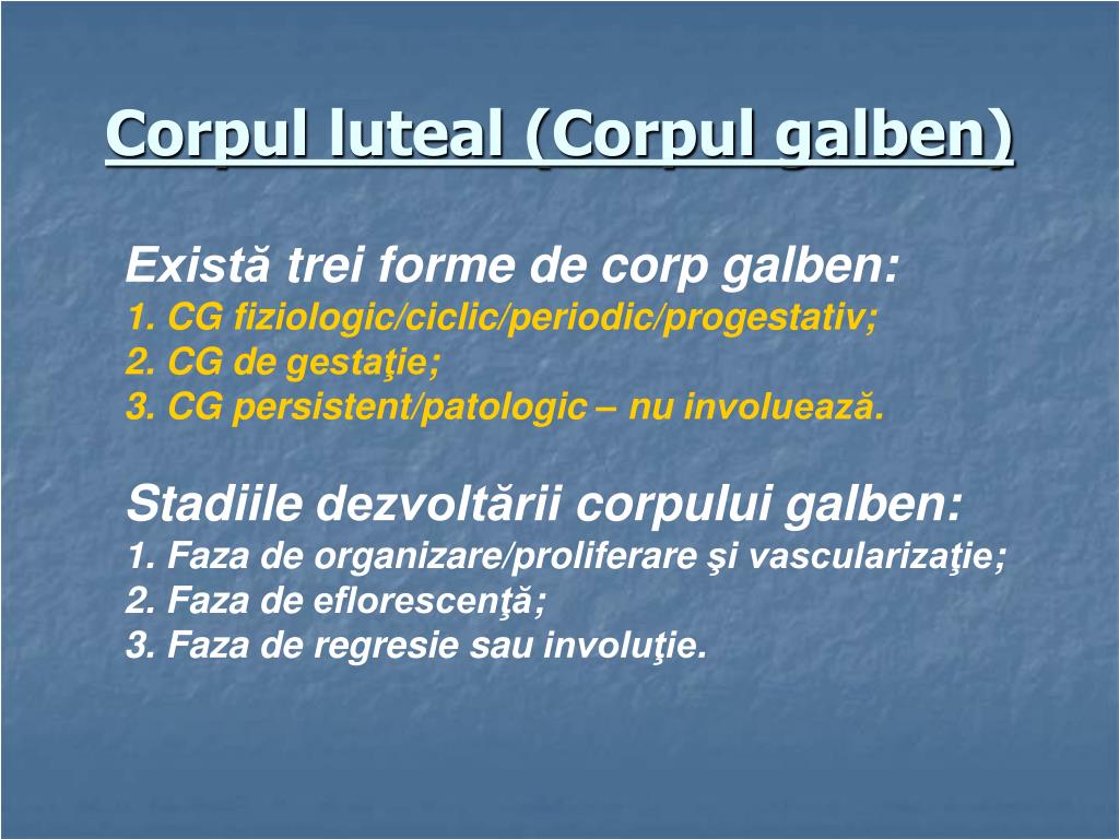 PPT - Morfologia aparatului genital femel PowerPoint Presentation, free ...