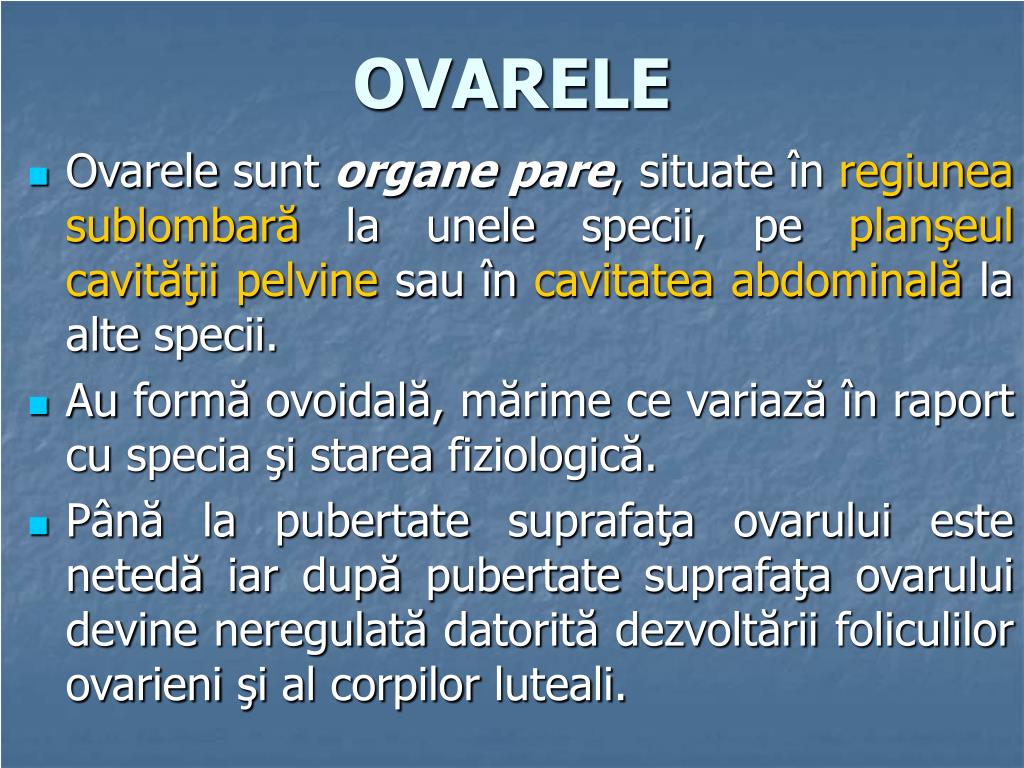 PPT - Morfologia aparatului genital femel PowerPoint Presentation, free ...
