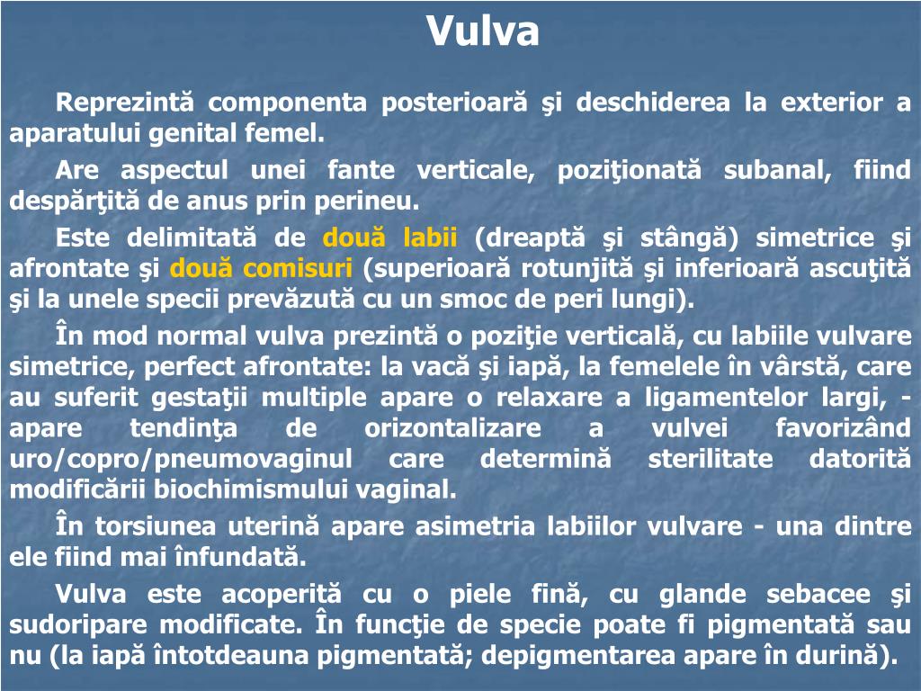 PPT - Morfologia aparatului genital femel PowerPoint Presentation, free ...