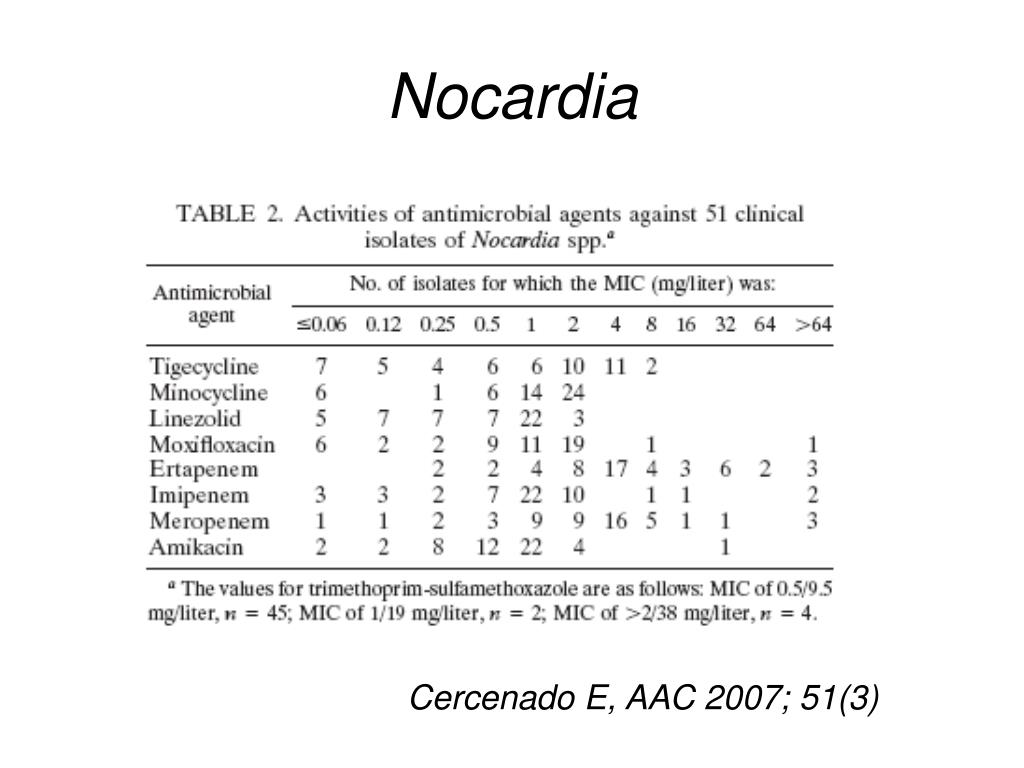 PPT - Infection du site opératoire à Nocardia PowerPoint Presentation ...