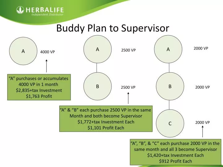 PPT - Buddy Plan to Supervisor PowerPoint Presentation, free download ...