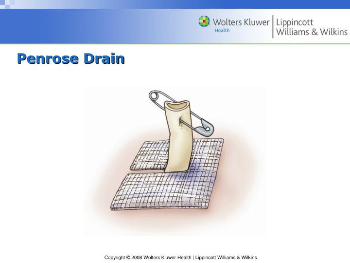PPT - Chapter 38 Skin Integrity and Wound Care PowerPoint Presentation ...