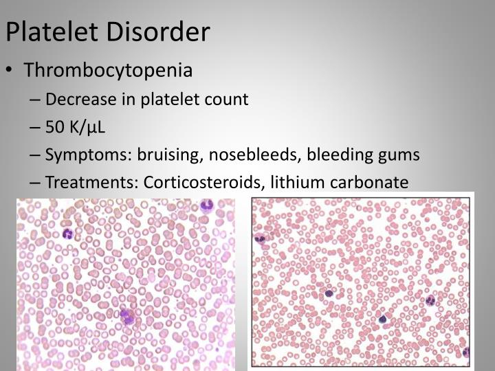 PPT - Blood Function PowerPoint Presentation - ID:2960720