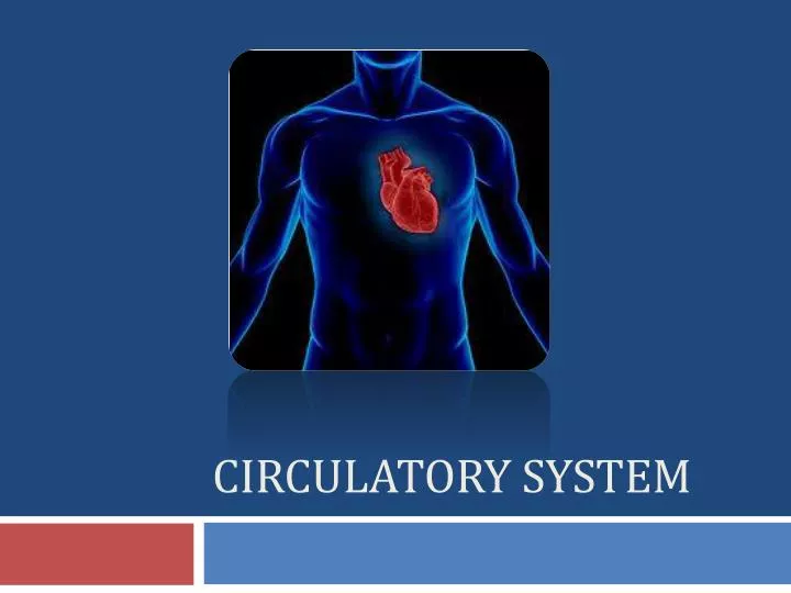 PPT - Circulatory System PowerPoint Presentation, free download - ID ...