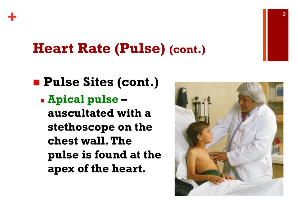 PPT - Medical Technology: Human Vital Signs PowerPoint Presentation ...