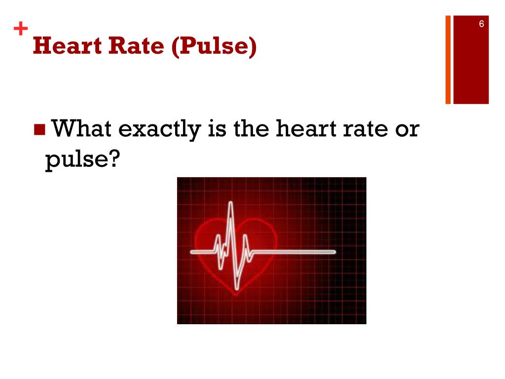PPT - Medical Technology: Human Vital Signs PowerPoint Presentation ...