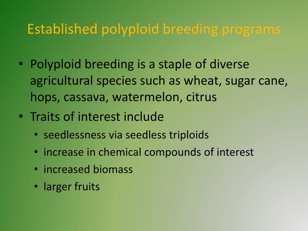 PPT - Breeding Polyploid Acacia mangium for wood production PowerPoint ...