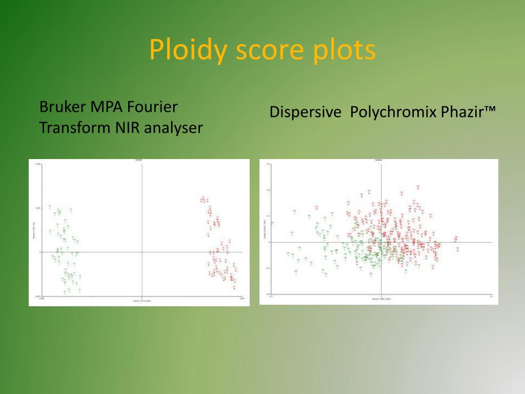 PPT - Breeding Polyploid Acacia mangium for wood production PowerPoint ...