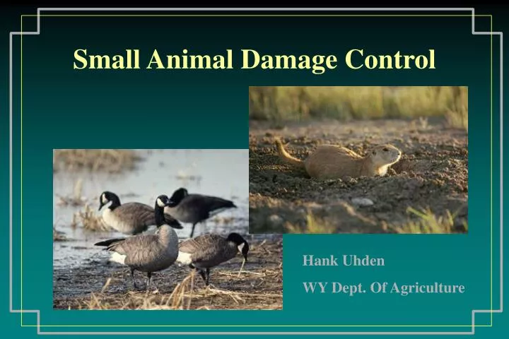 PPT - Small Animal Damage Control PowerPoint Presentation, free ...