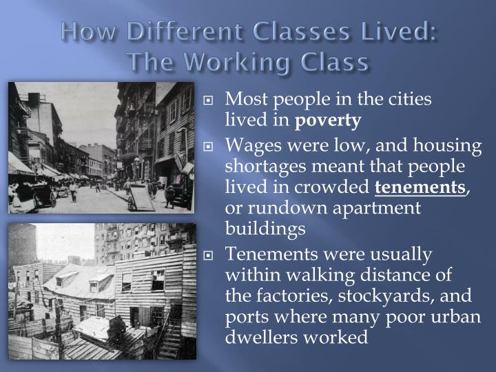 PPT - New Immigrants PowerPoint Presentation - ID:2962947