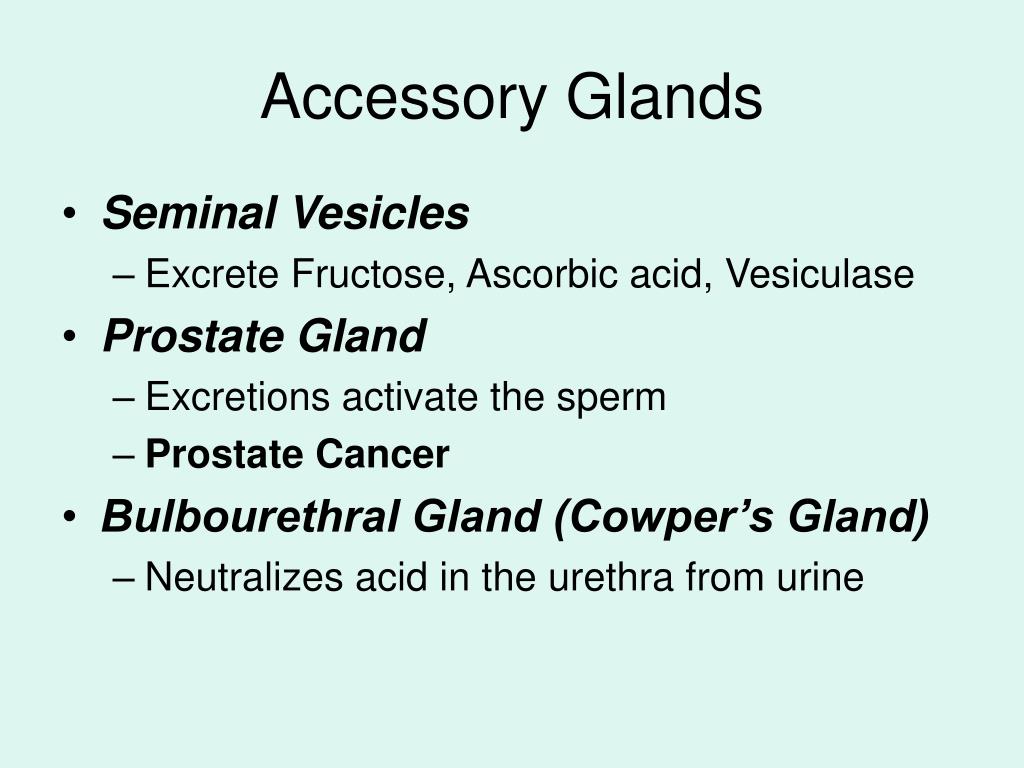 PPT - Biology 250: Human Anatomy PowerPoint Presentation, free download ...