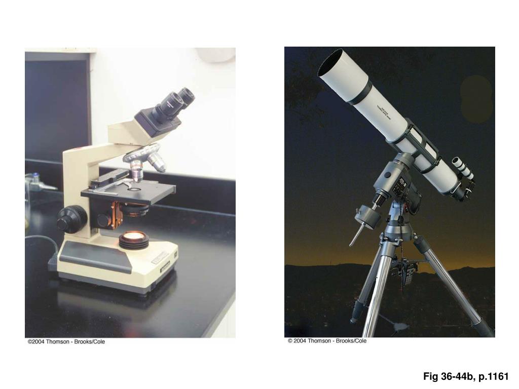 PPT - Chapter 36 Serway & Jewett 6 th Ed. PowerPoint Presentation - ID ...