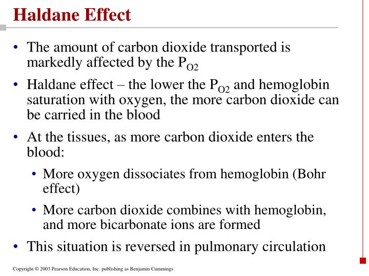 PPT - Chapter 23 PowerPoint Presentation - ID:2963201