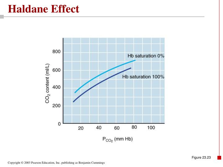 PPT - Chapter 23 PowerPoint Presentation - ID:2963201