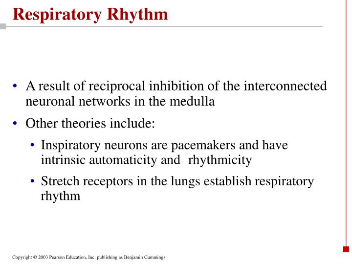 PPT - Chapter 23 PowerPoint Presentation - ID:2963201