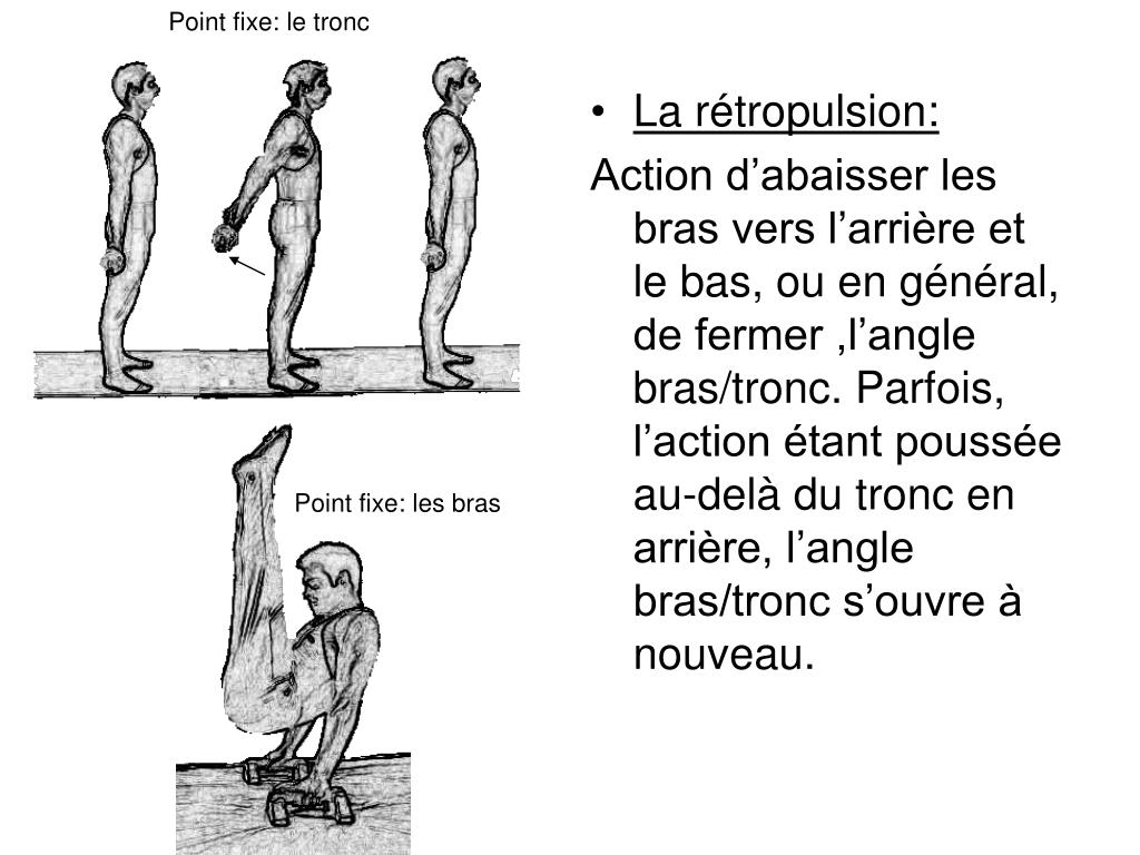 PPT - Les actions principales en gymnastique et les principaux groupes ...