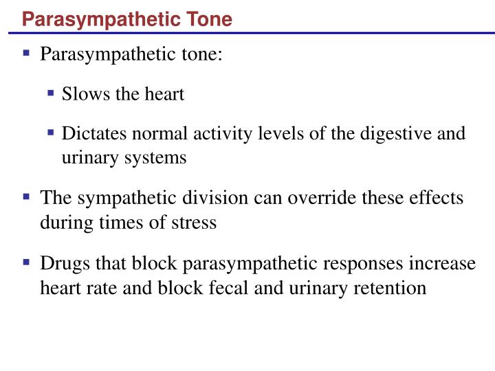 PPT - Comparison of Somatic and Autonomic Systems PowerPoint ...