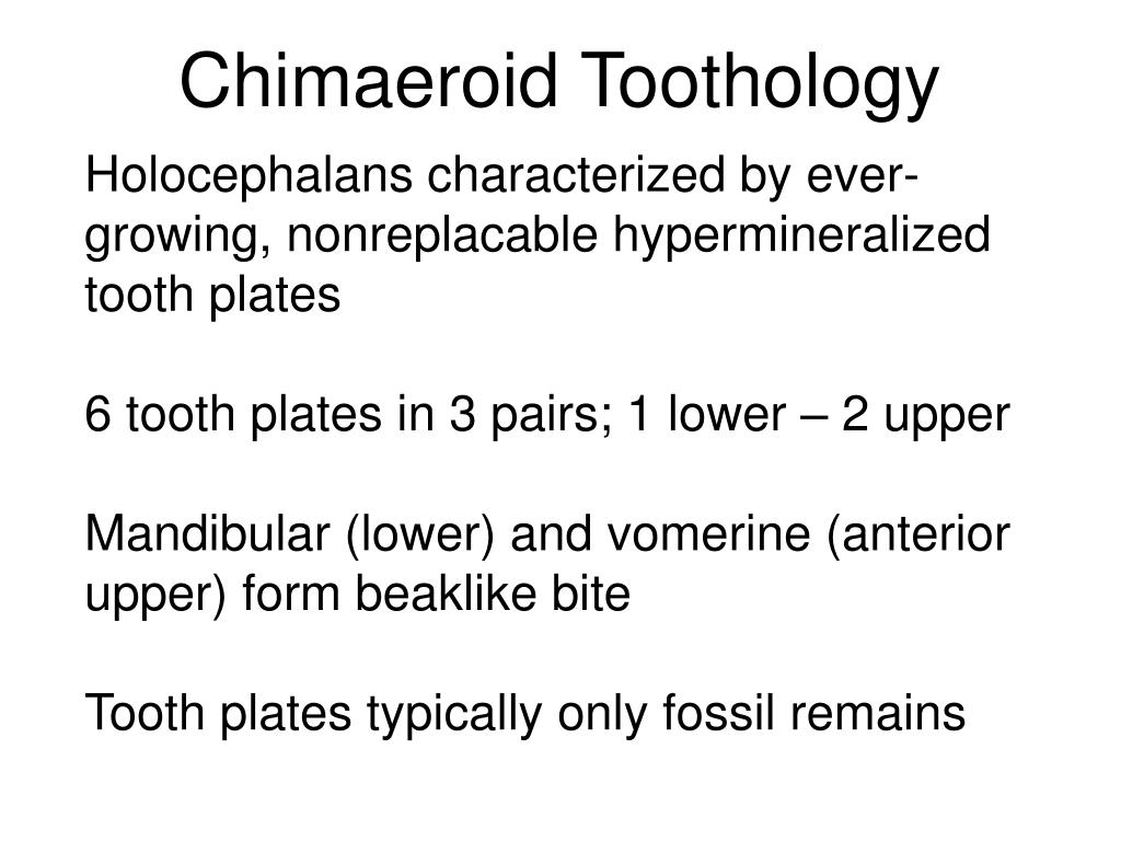 PPT - Natural History of Sharks, Skates, and Rays Phylogeny of ...