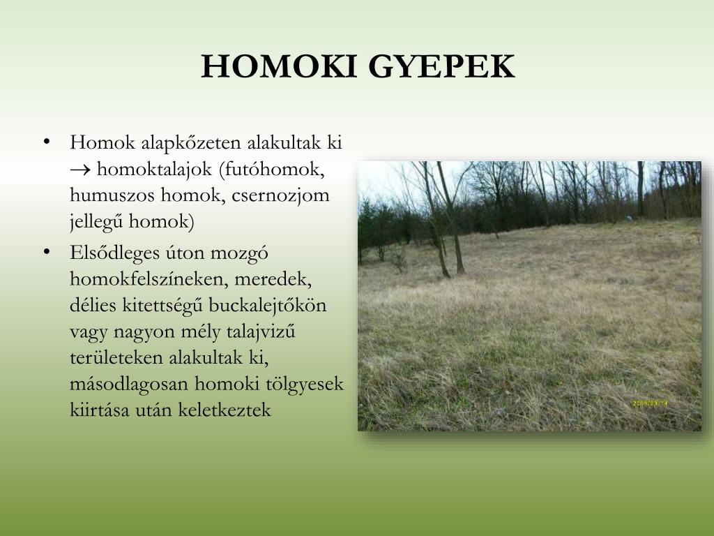 PPT - Alkalmazott növénytan 12. előadás PowerPoint Presentation, free ...