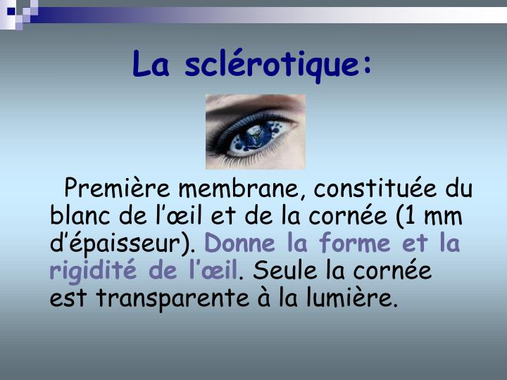 PPT - Anatomie de l’oeil PowerPoint Presentation - ID:2964101