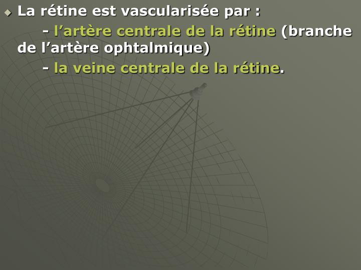 PPT - ANATOMIE PHYSIOLOGIE DE L’OEIL PowerPoint Presentation - ID:2964122
