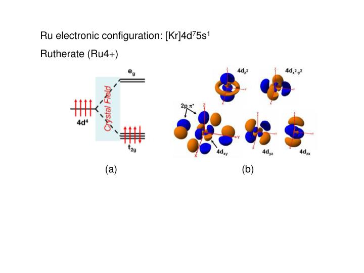 PPT - Phase Diagram of Ruthenate: Ca 2-x Sr x RuO 4 (CSRO) (0.0