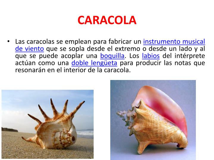 PPT - LEGADO MUSICAL INDIGENA PowerPoint Presentation - ID:2964230