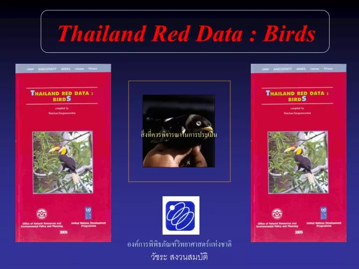PPT - Thailand Red Data : Birds PowerPoint Presentation, free download - ID:2964332