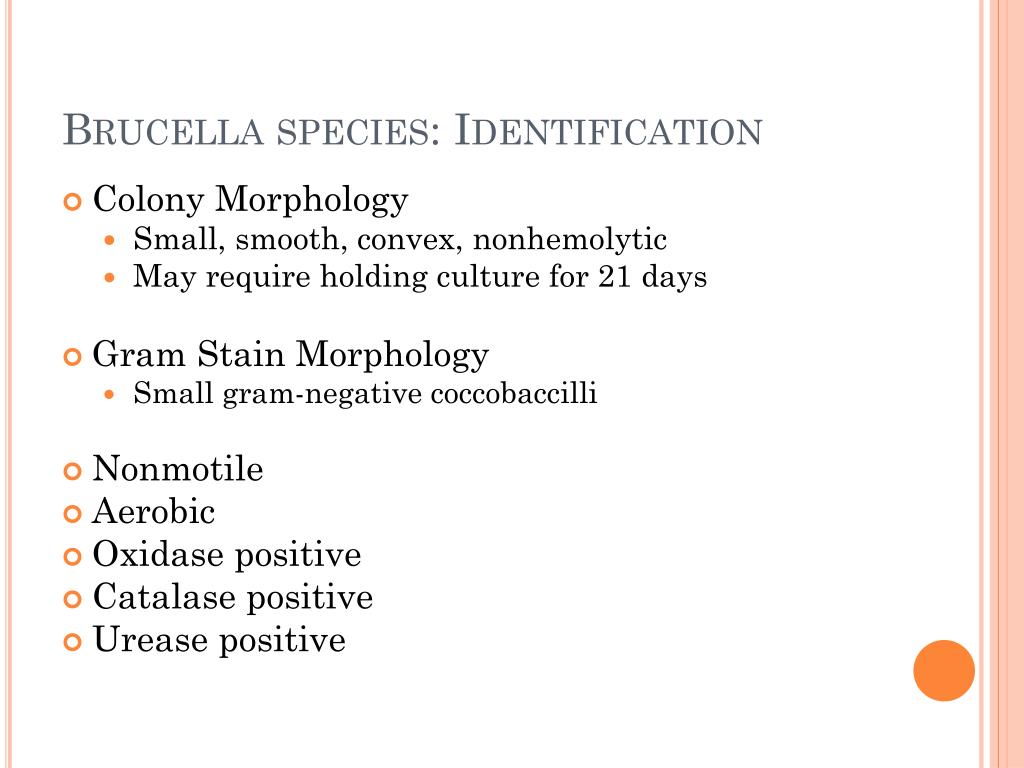 PPT - MLAB 2434: Microbiology Keri Brophy-Martinez PowerPoint ...
