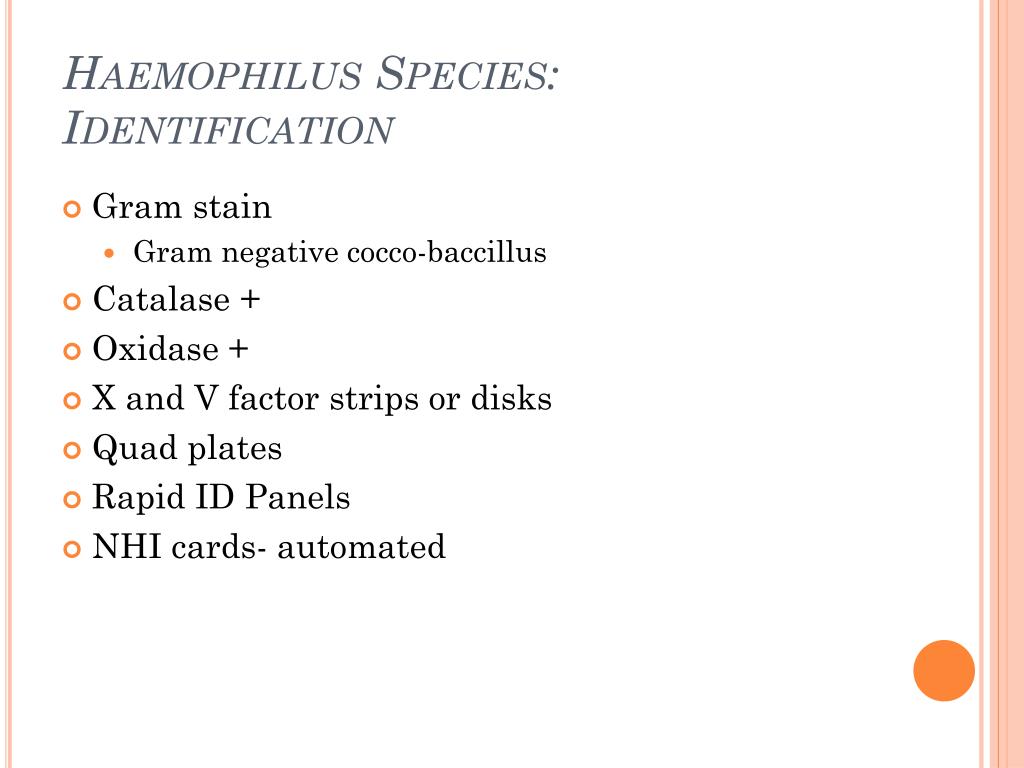 PPT - MLAB 2434: Microbiology Keri Brophy-Martinez PowerPoint ...