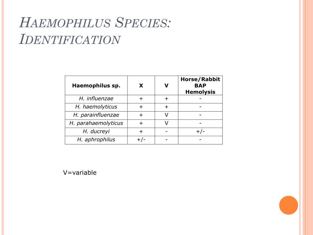 PPT - MLAB 2434: Microbiology Keri Brophy-Martinez PowerPoint ...