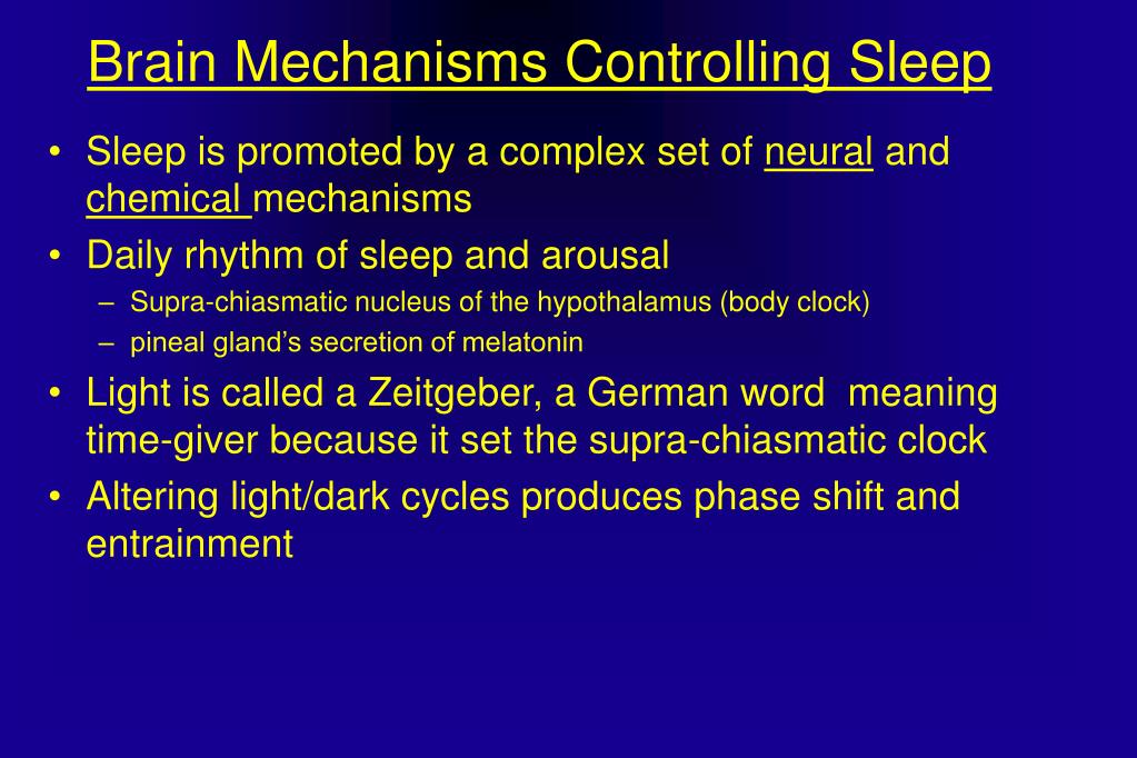 PPT - Physiology and Neuroanatomy of sleep BY AHMAD YOUNES PROFESSOR OF ...