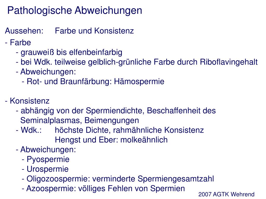 PPT - Vorlesung: Andropathologie Sommersemester 2007, 8. Fachsemester ...